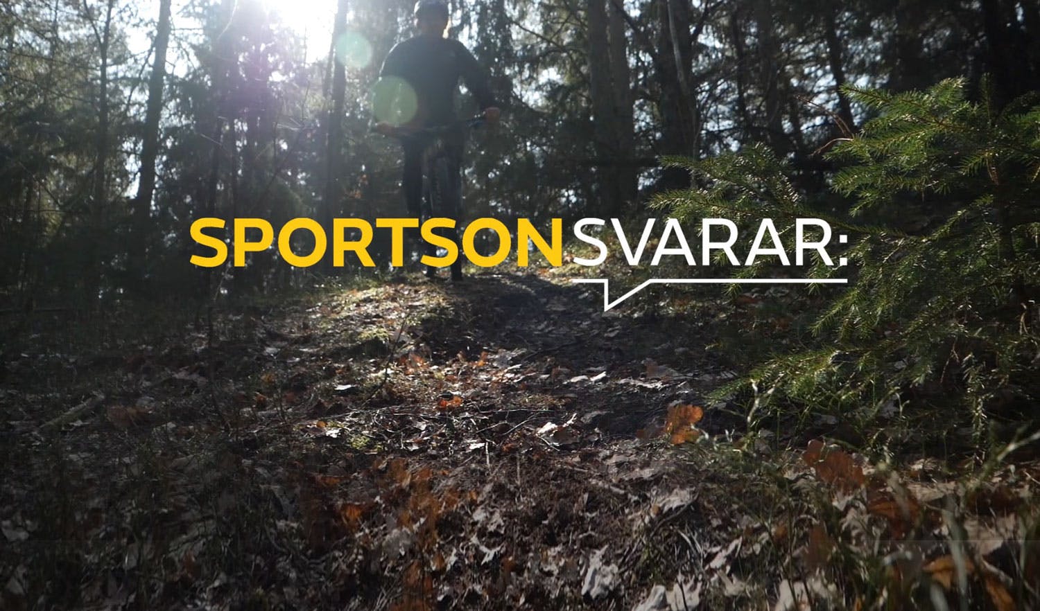 5 tips när du köper lastcykel | Magasin | Sportson - Vi kan cyklar.